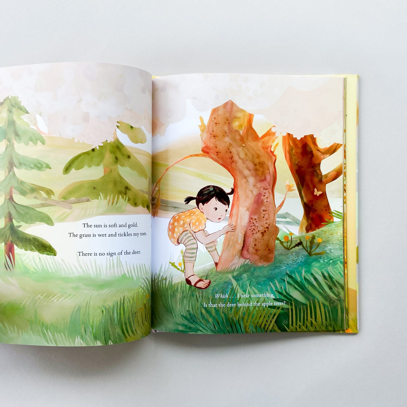 The Secret Fawn - Bookfolk